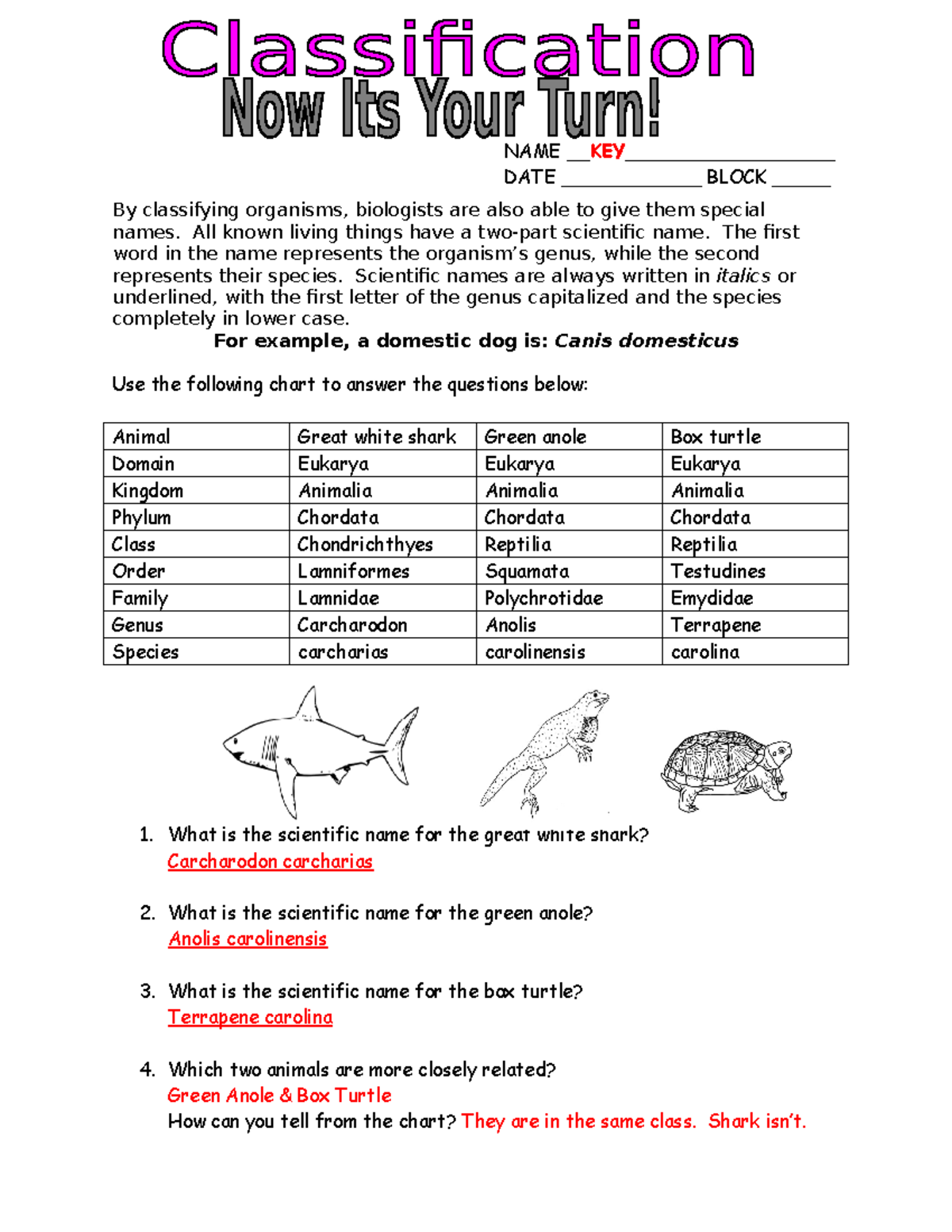 Classification NIYT KEY - NAME KEY________________ DATE ...