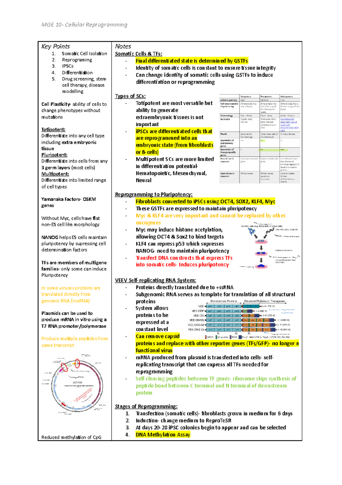 Cellular Reprogramming - Somatic Cell Isolation 2. Reprograming 3 ...