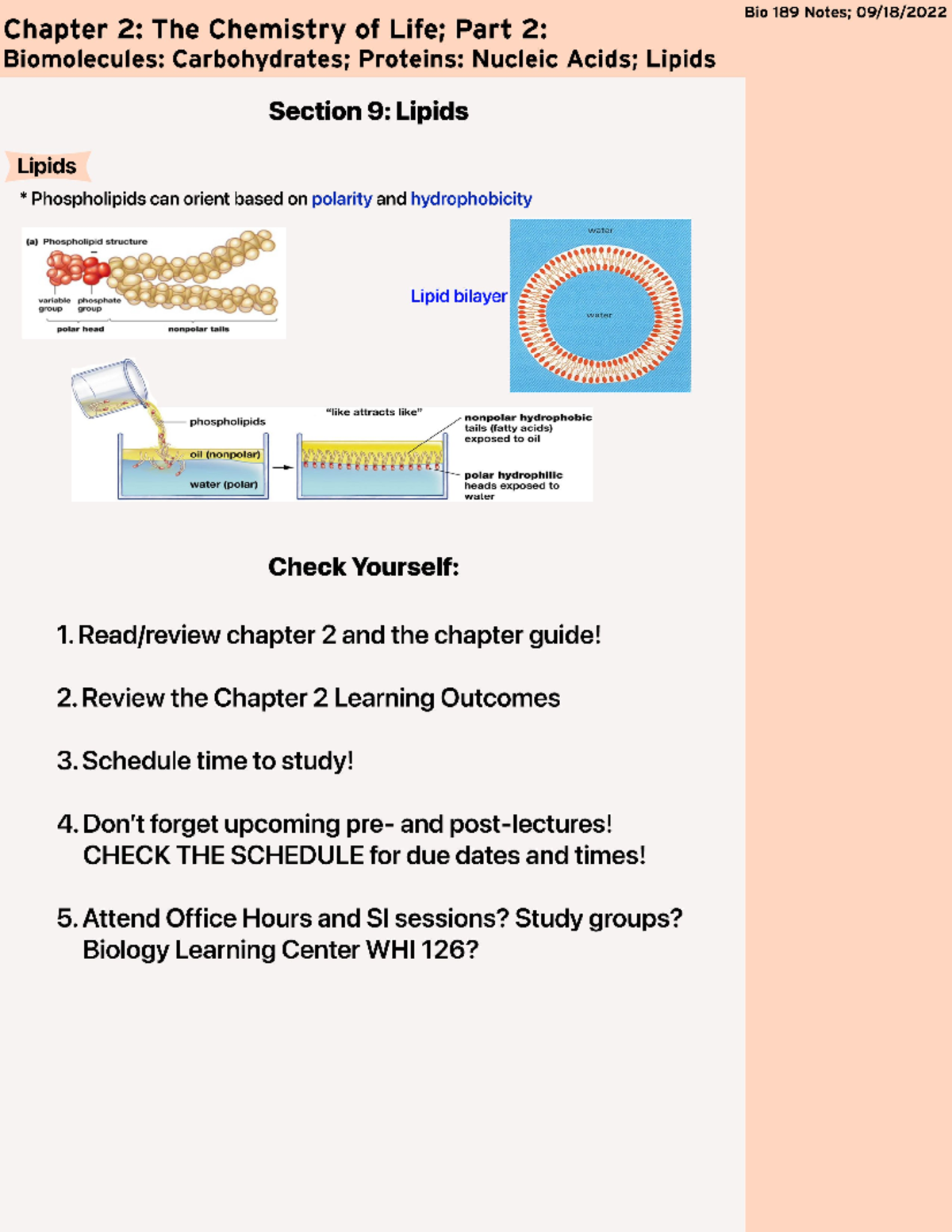 Chapter 2 pg23 - BIOL 189 - Studocu