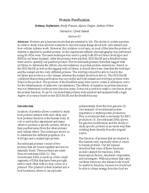 Enzyme Kinetics lab report 2 - Enzyme Kinetics Martee Larson , Lauren ...