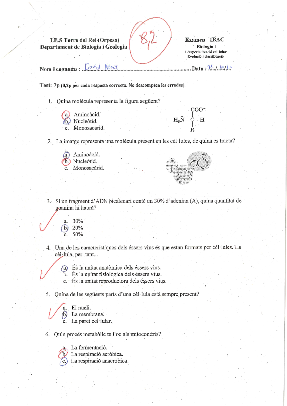 Nemes David Biologia I - I.E Torre del Rei (Orpesa) Departament de ...