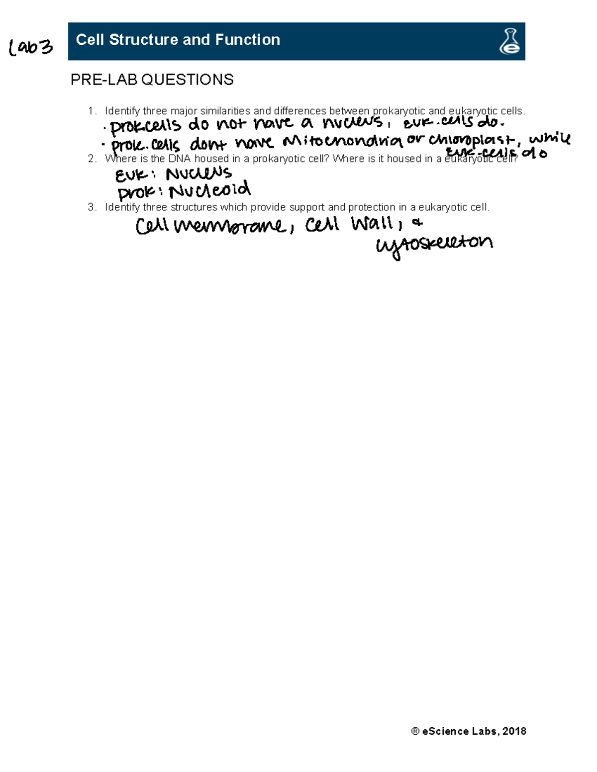 Introductory Biology Lab 3 - Cell Structure and Function PRE-LAB QUESTIONS Identify three major ...