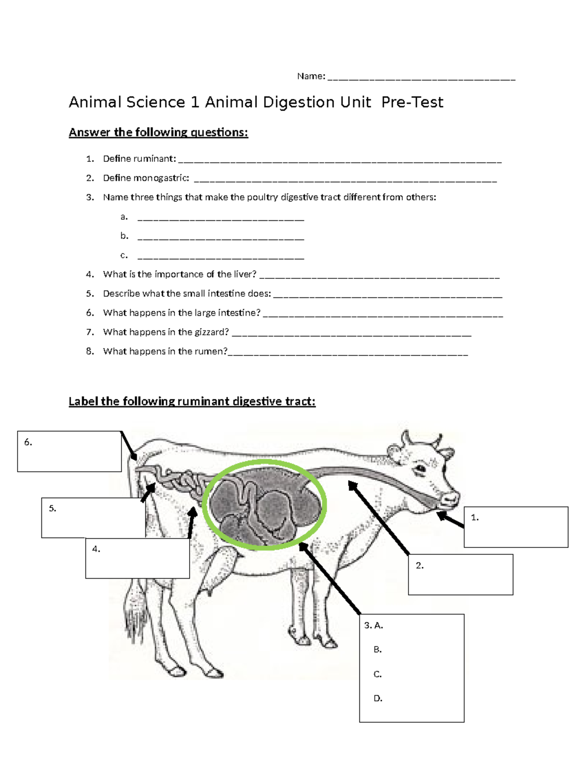 Digestion worksheet - this document explains the ruminant, monogastric ...