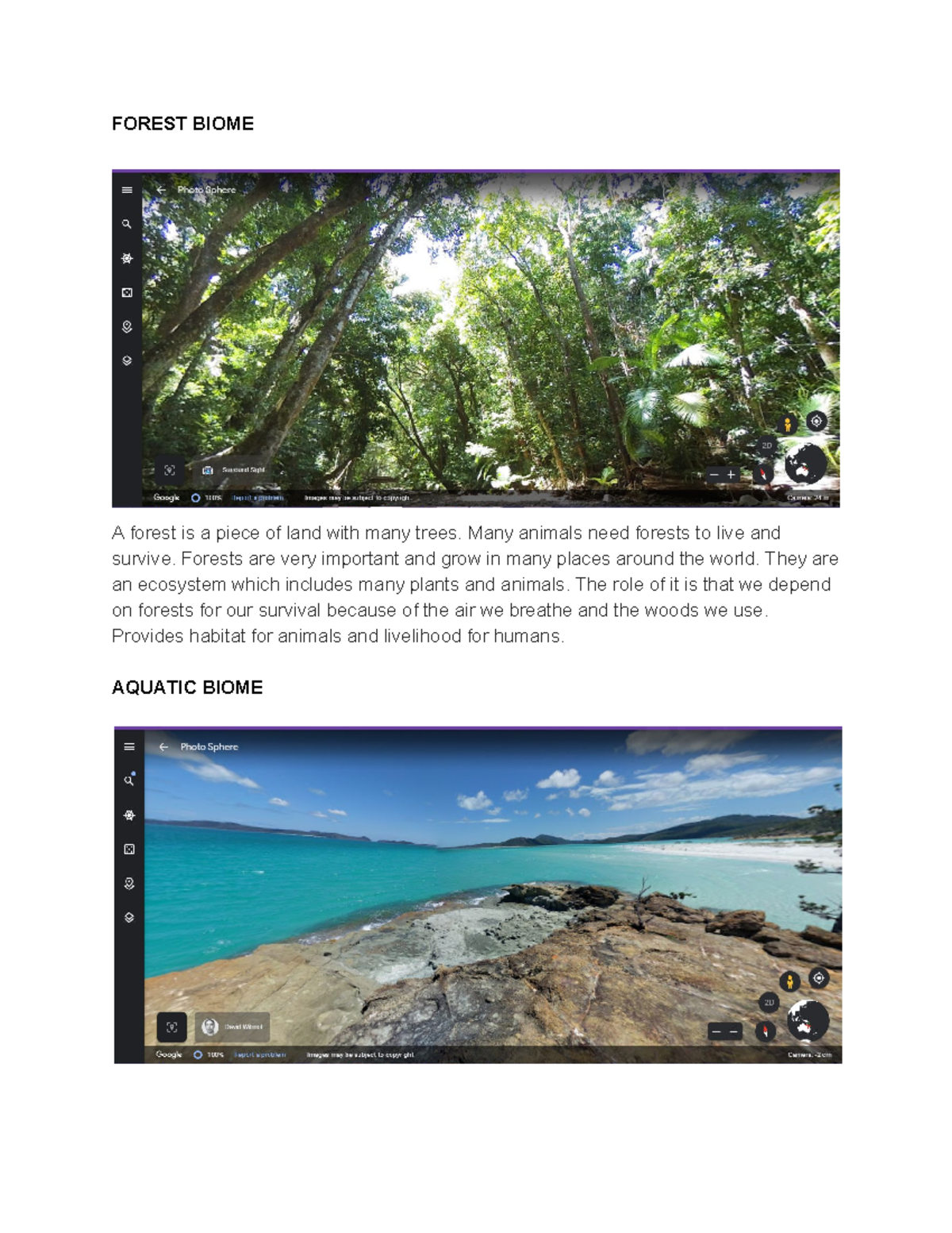 Activity 2_Earth Sci - FOREST BIOME A forest is a piece of land with ...