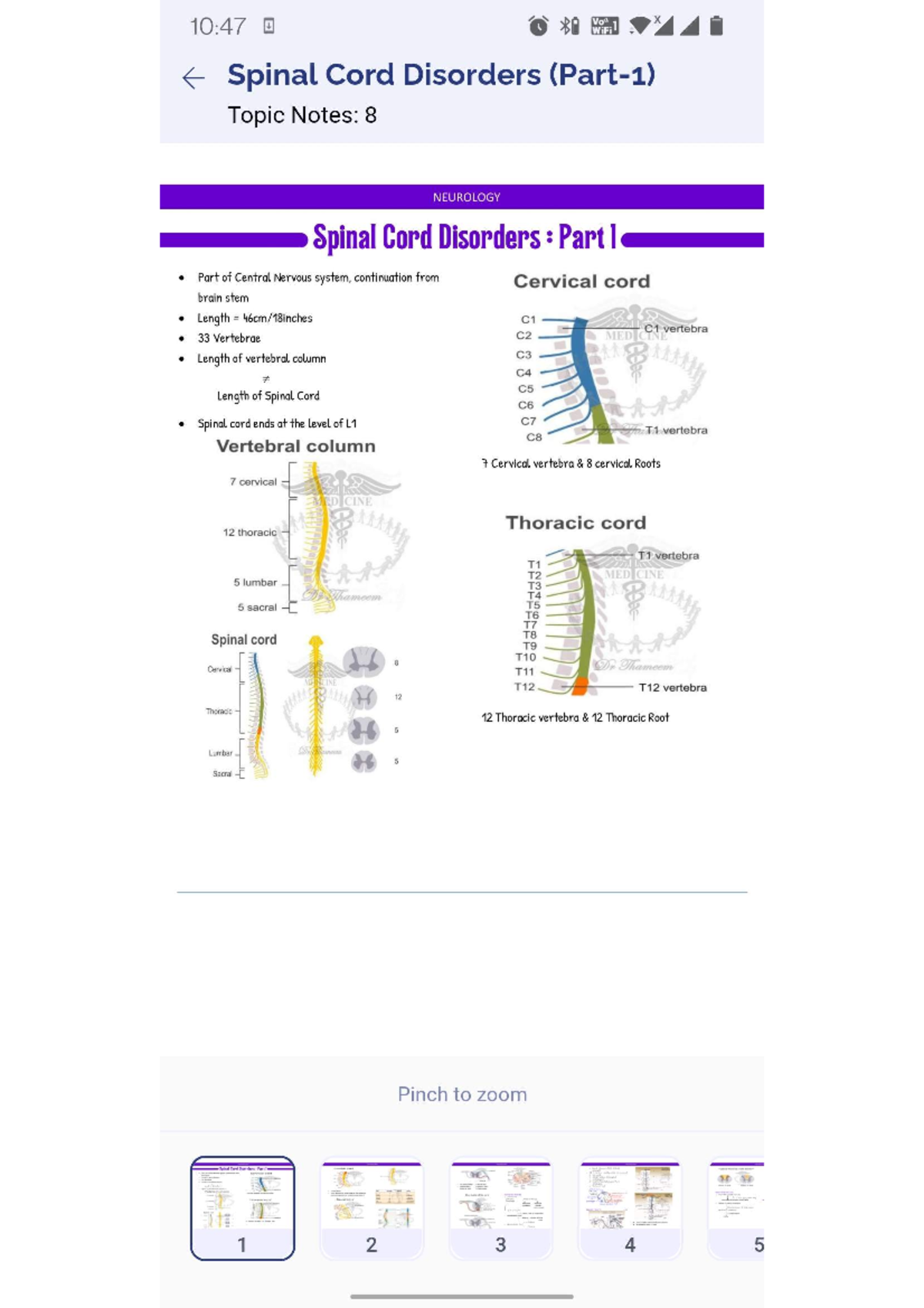 Medicine spinal cord - Medical course - Studocu