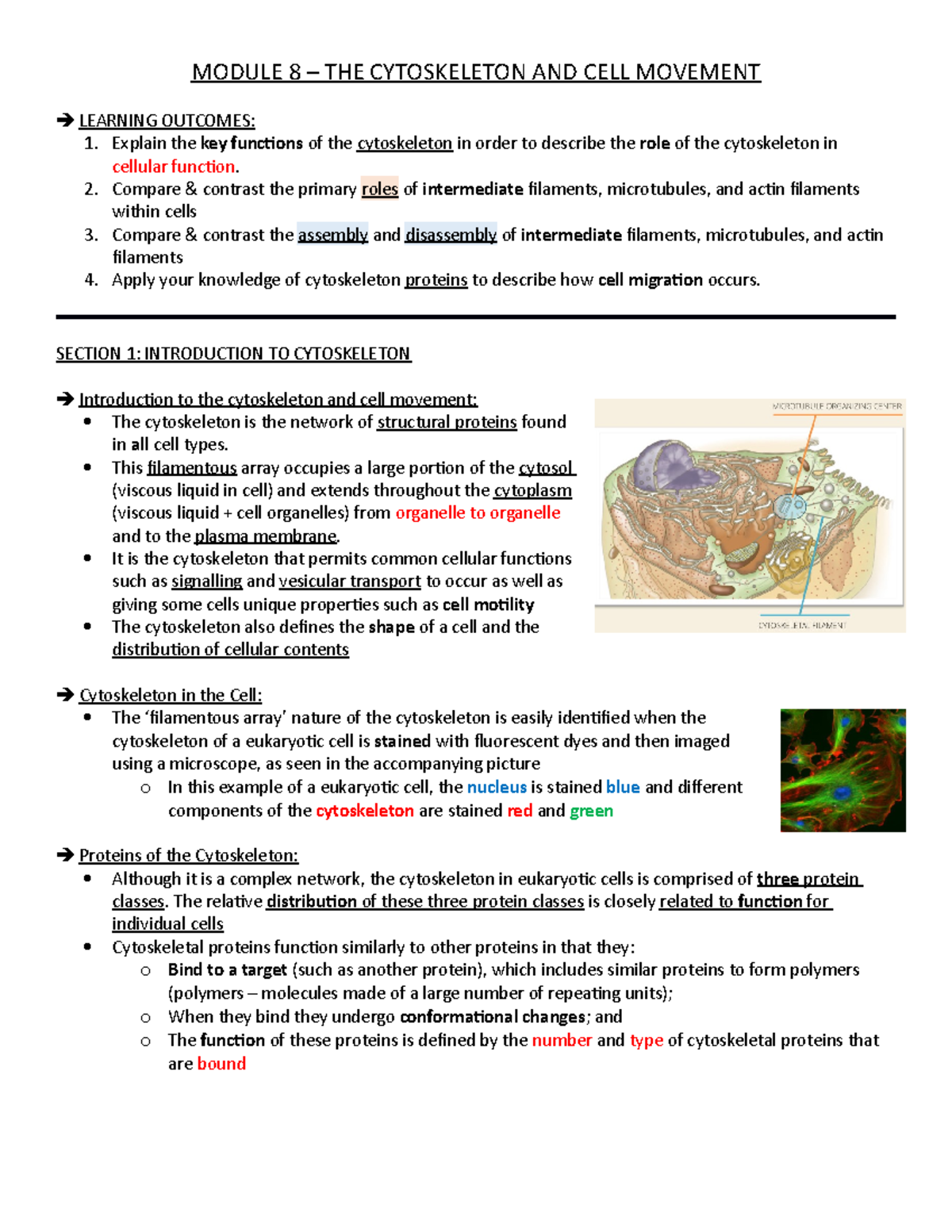Module 8 - phgy - notes - MODULE 8 – THE CYTOSKELETON AND CELL MOVEMENT ...