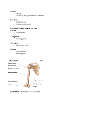 1- Anatomical Terminology - What’s in a Name? - “Common” names - Eg ...