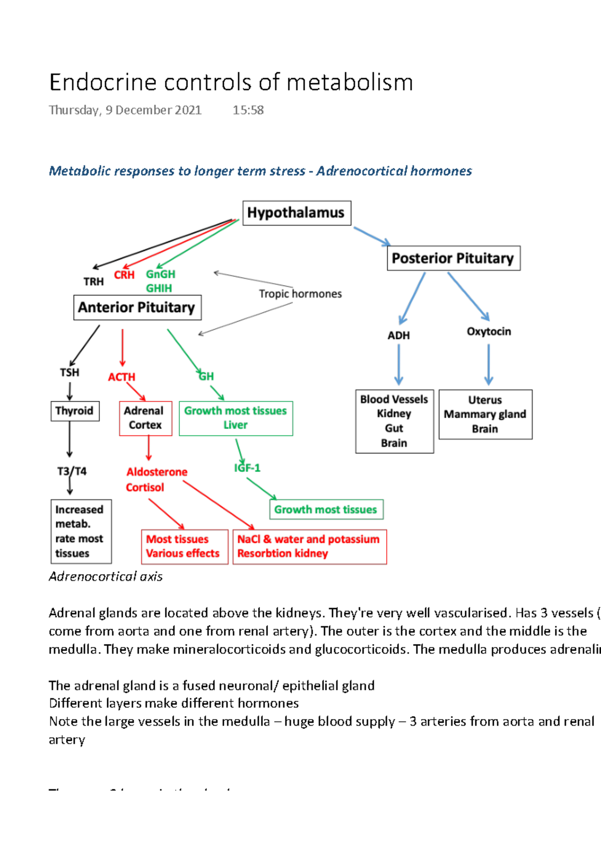 Endocrine controls of metabolism - Metabolic responses to longer term ...