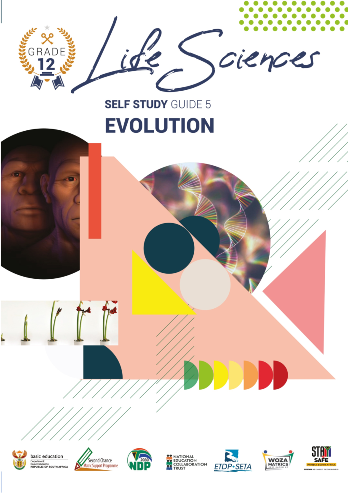 Life Sciences- Evolution hlayiso - TABLE OF CONTENTS PAGE Introduction ...