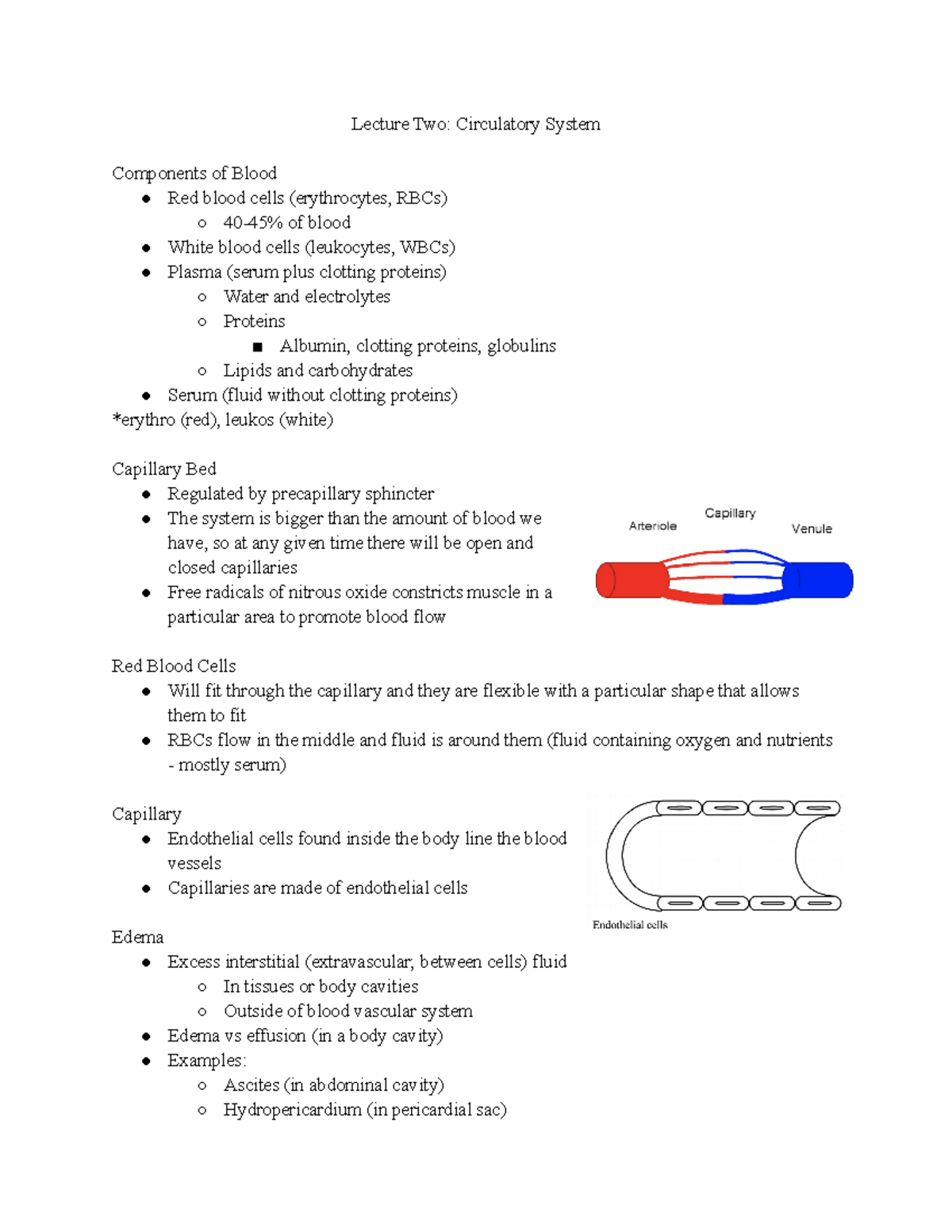 Circulatory System - Lecture Two: Circulatory System Components of ...