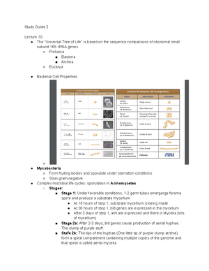 Lab Report 4 - lab 4 - Fernanda Garcia Lab Report 4 - 02. Section C ...