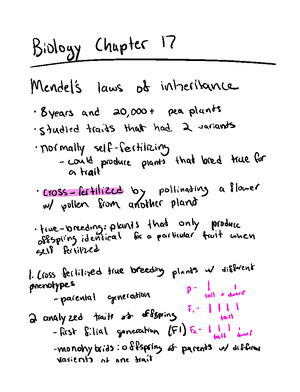 Bio Chapter 16 Notes - 2 sets of 23 Chapter 16 Cell Cycle chromosomes ...