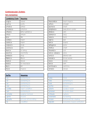 Chapter 7 - Respiratory System Word Charts - Chapter 7: Respiratory ...