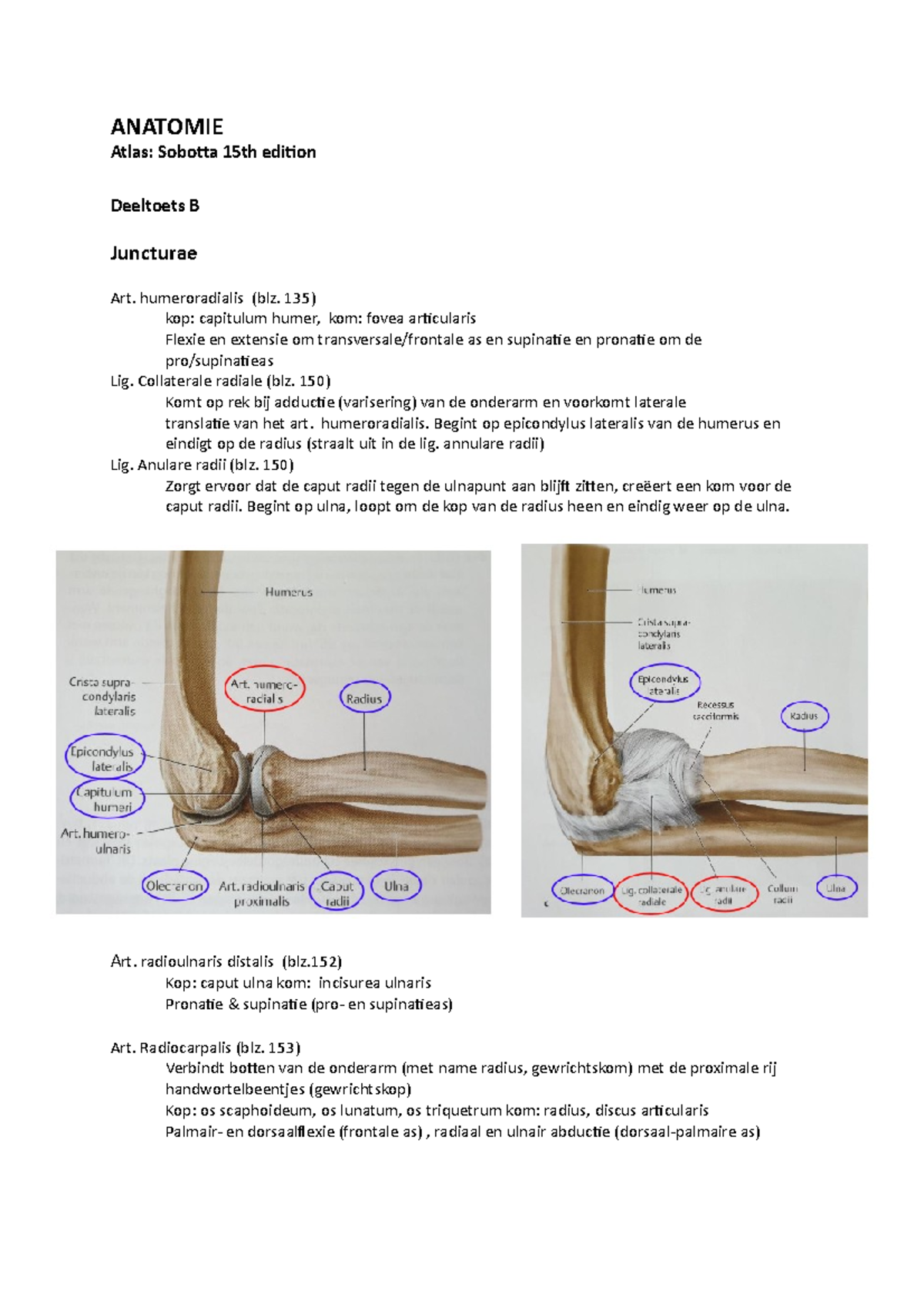 Deeltoets 2 - structuren in vivo arm - ANATOMIE Atlas: Sobotta 15th ...
