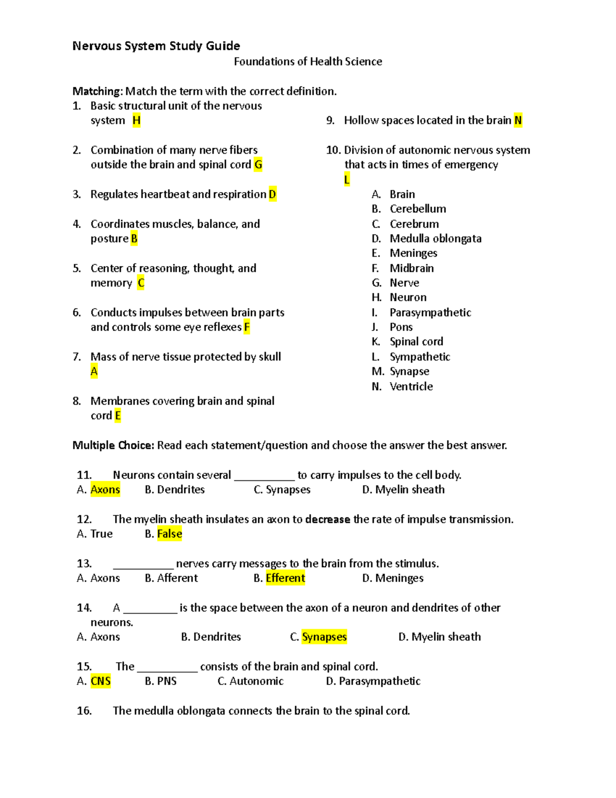 Copy of Nervous System Study Guide - Nervous System Study Guide ...