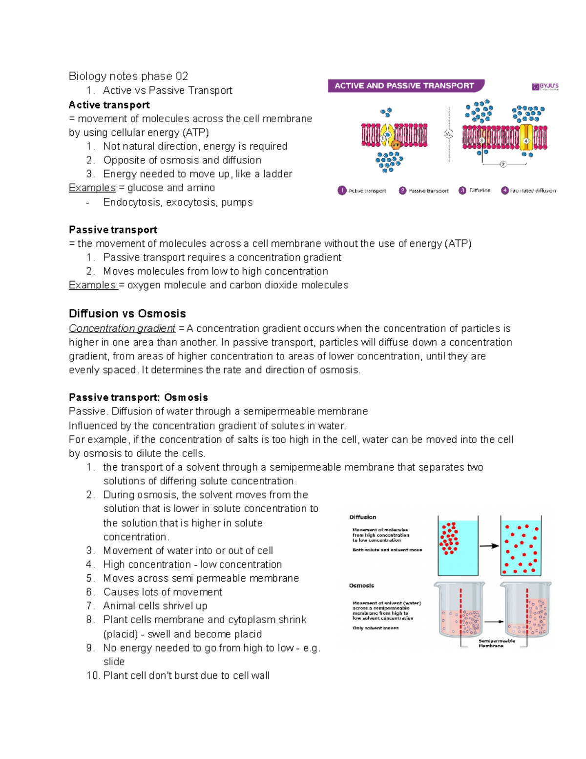 Biology notes phase 02 - Passive transport requires a concentration ...