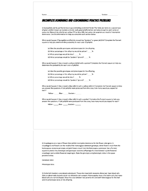 Ch6 practice packet key - Prentice Hall Gold Geometry • Teaching ...
