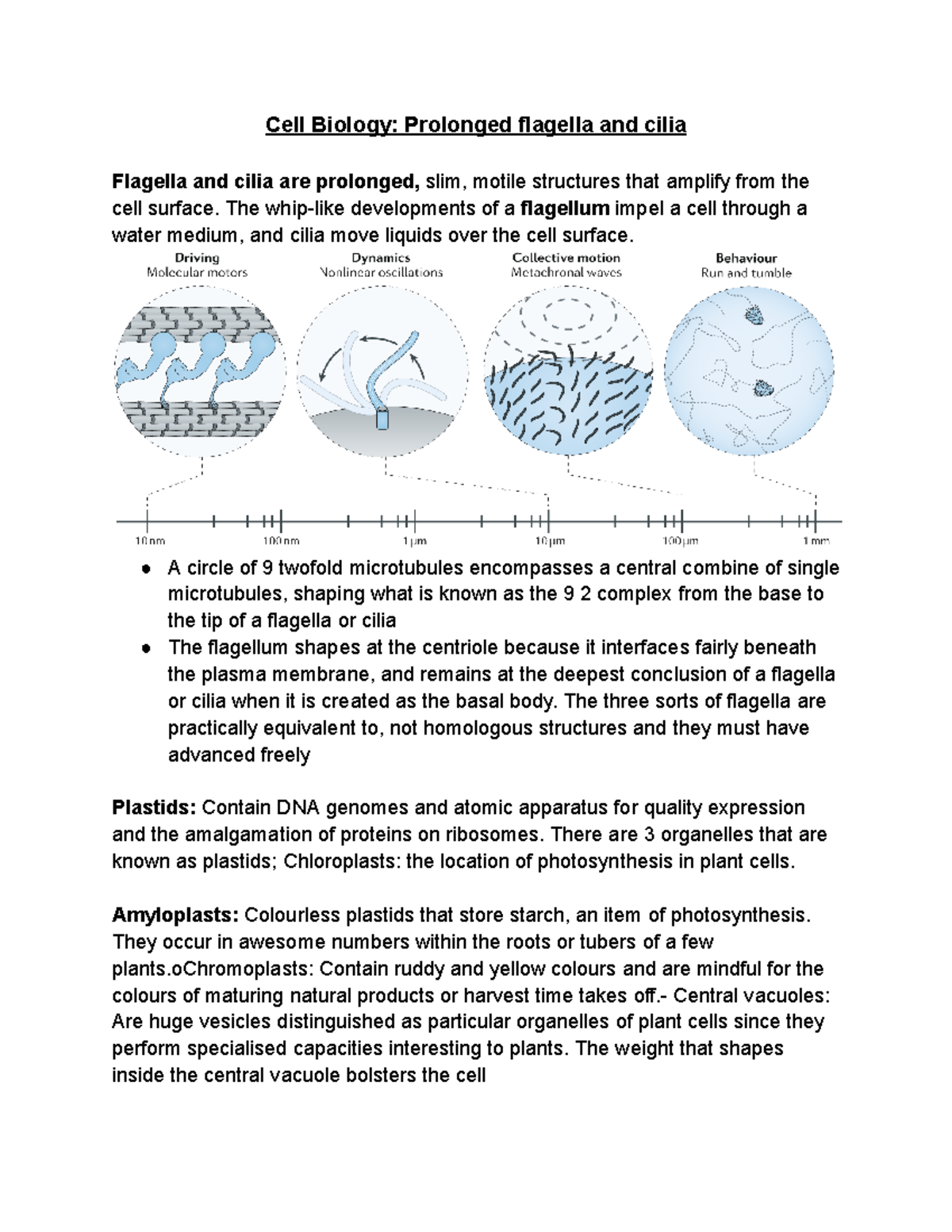 Cell Biology Prolonged flagella and cilia - Cell Biology: Prolonged ...