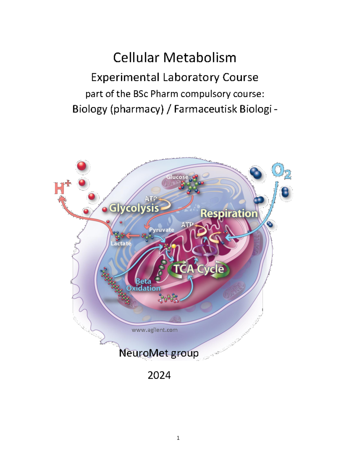 2024 manual Farmaceutisk Biologi-Biochemi Lab Exercises - Cellular ...