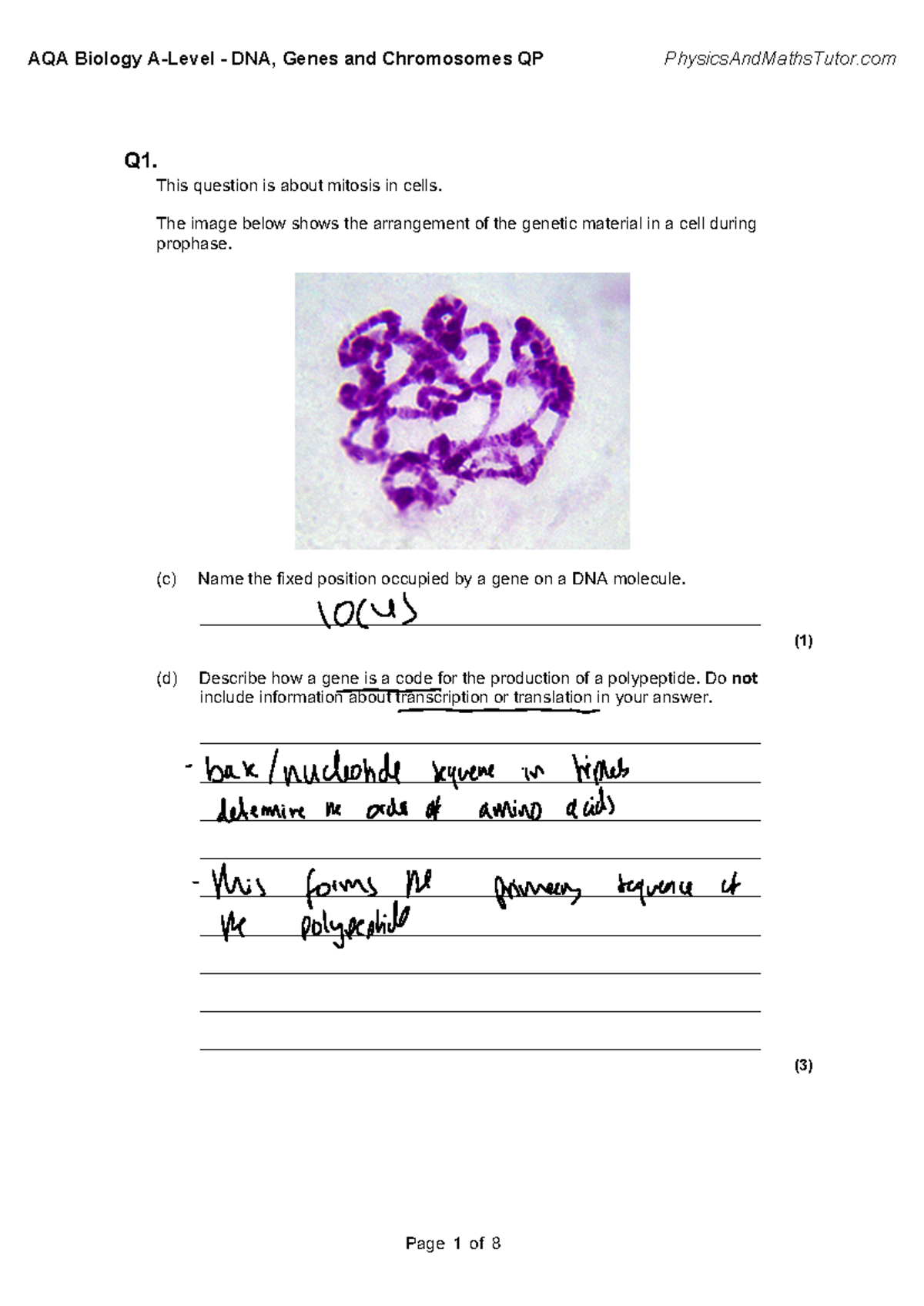 DNA, Genes and Chromosomes QP - Q1. This question is about mitosis in ...