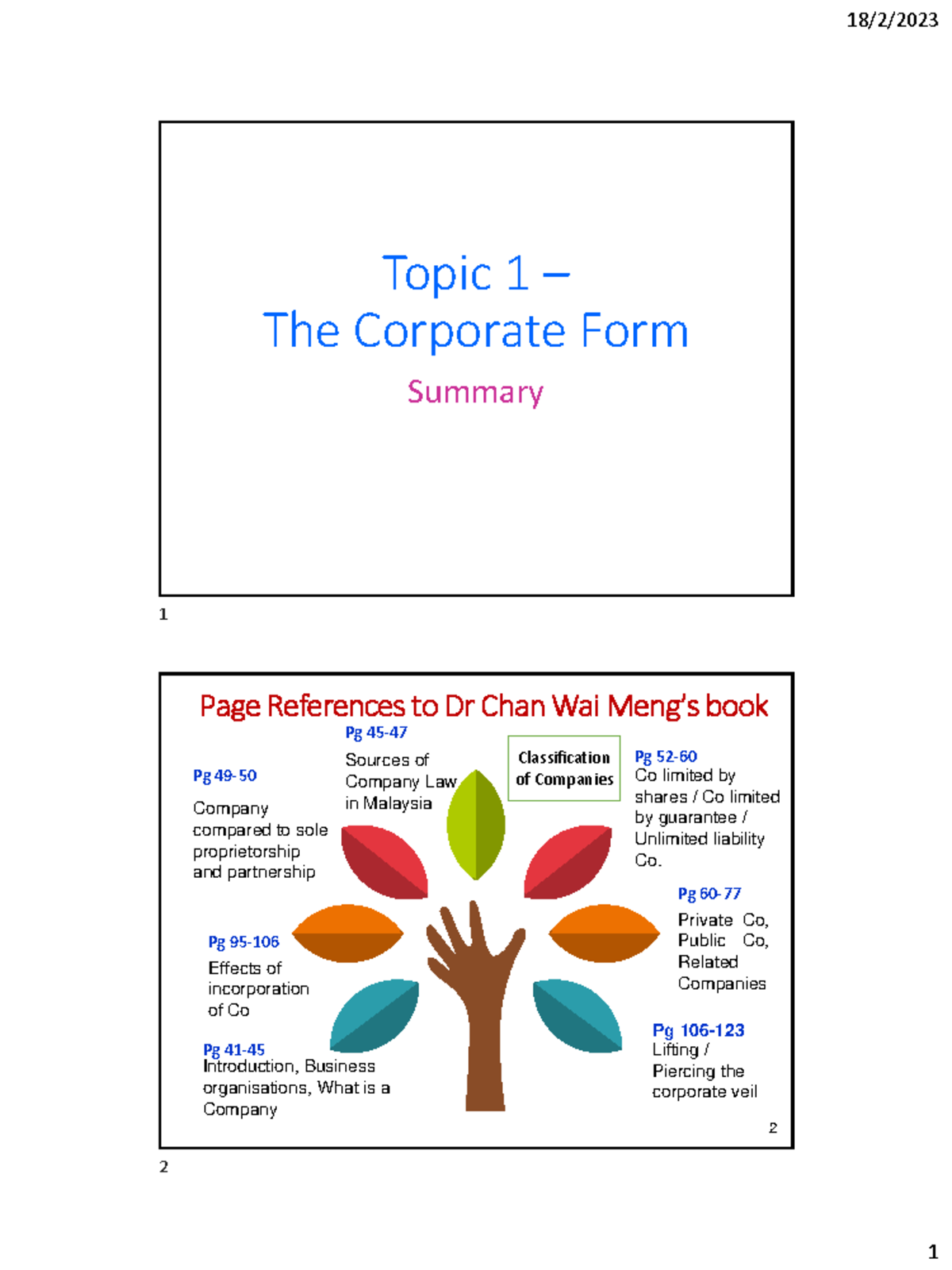 Topic 1 - The Corporate Form Summary - Topic 1 – The Corporate Form ...
