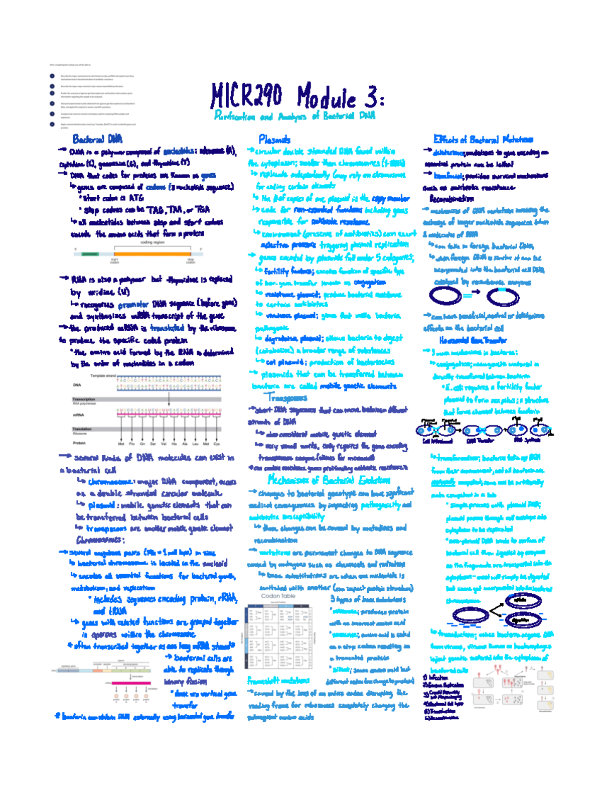 Module 3 - MICR 290 Module PurificationandAnalysis ofBacterialDNA ...