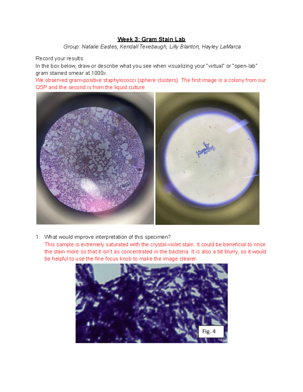 Lab 3 Worksheet - Week 3: Gram Stain Lab Group: Natalie Eastes, Kendall ...