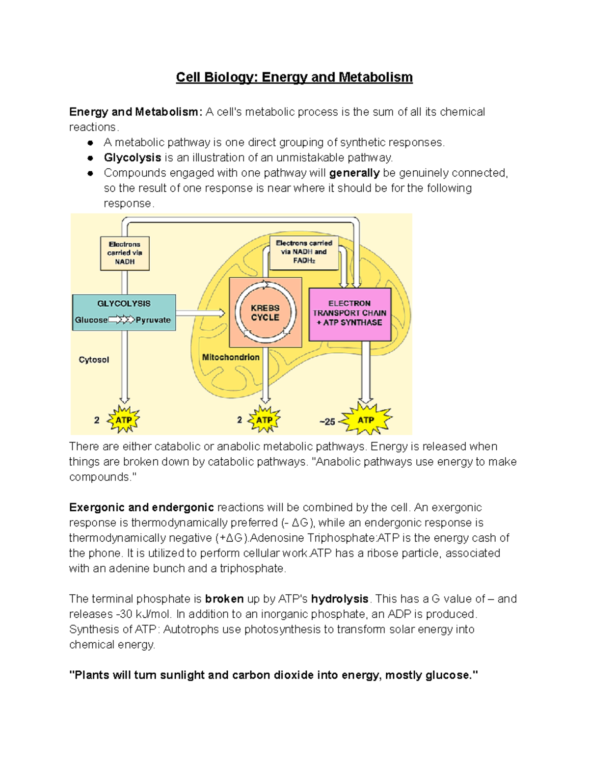 Cell Biology Energy and Metabolism - Cell Biology: Energy and ...