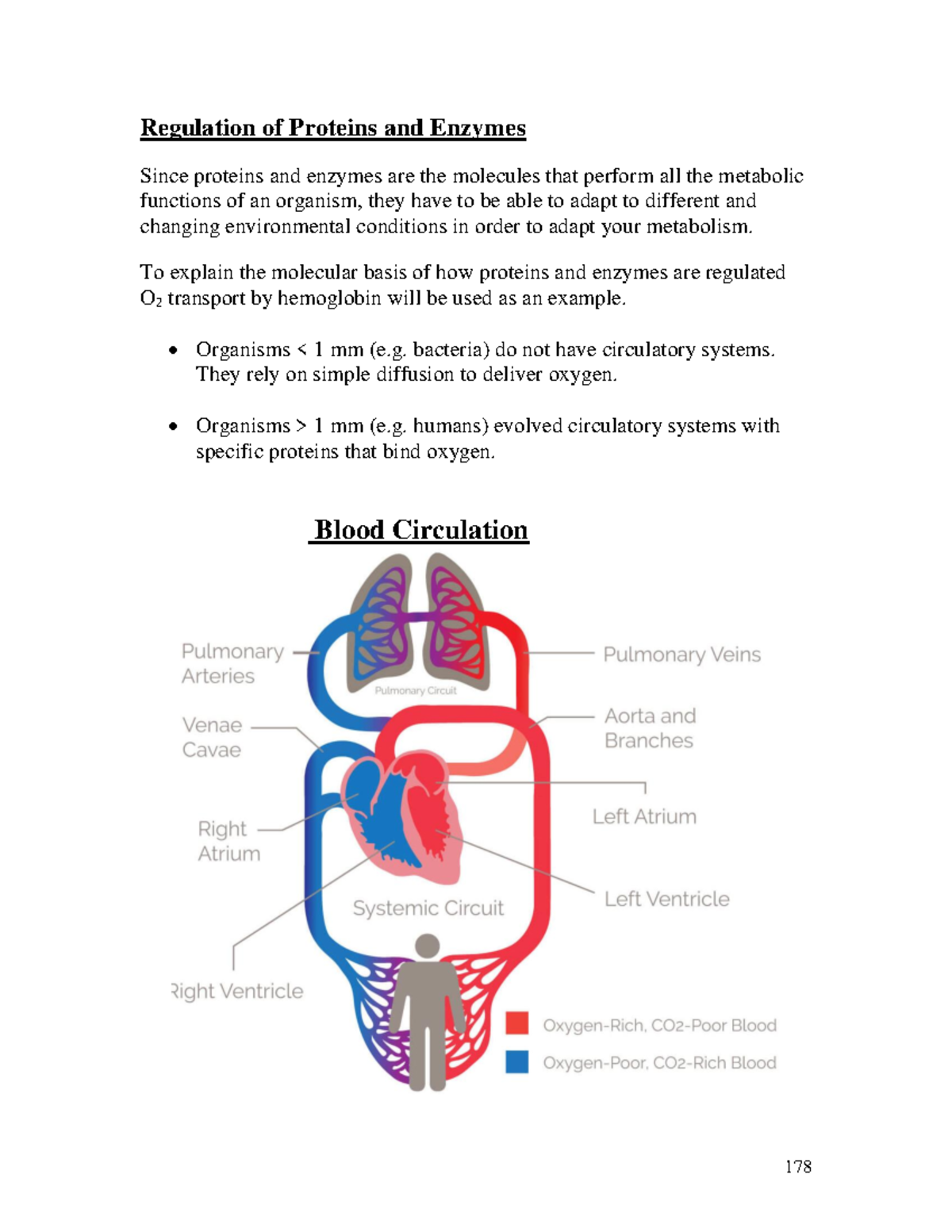 BIOL 4093 7. Regulation of Proteins and Enzymes - Regulation of ...