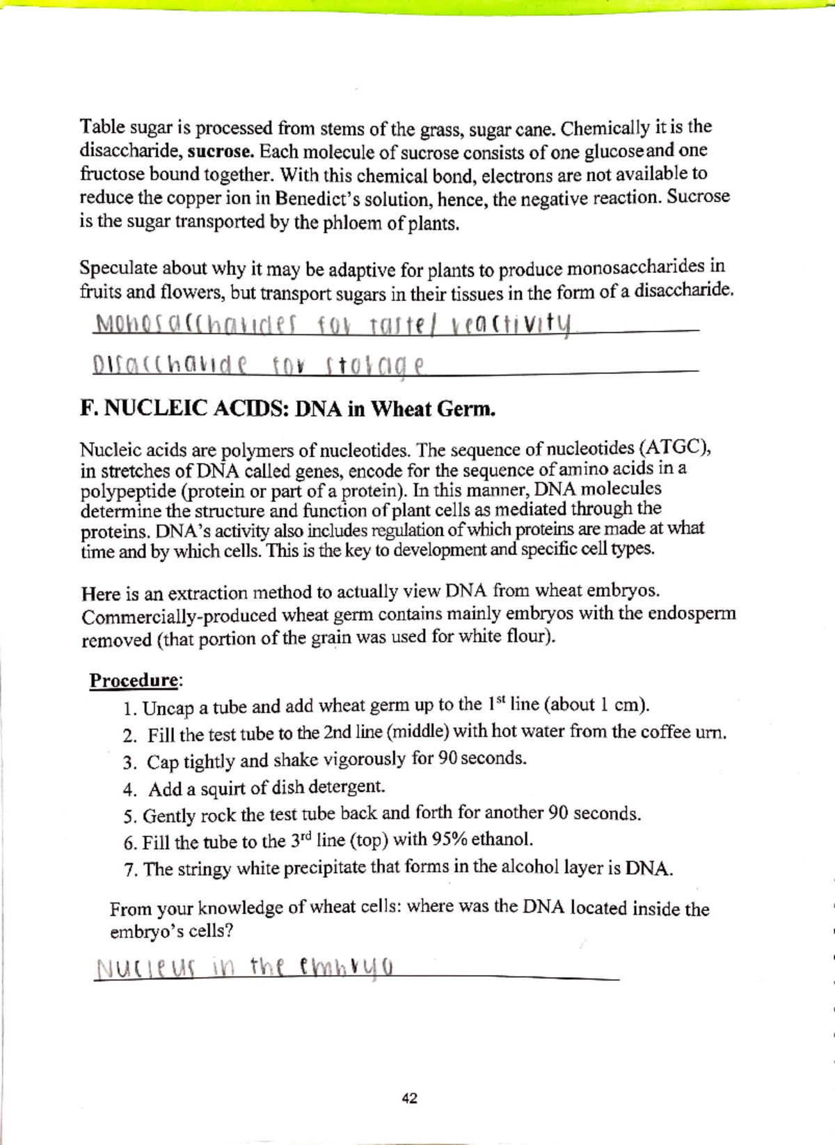 Lab 3: The Plant Cell - BIOLOGY/ BOTANY 130 - Studocu