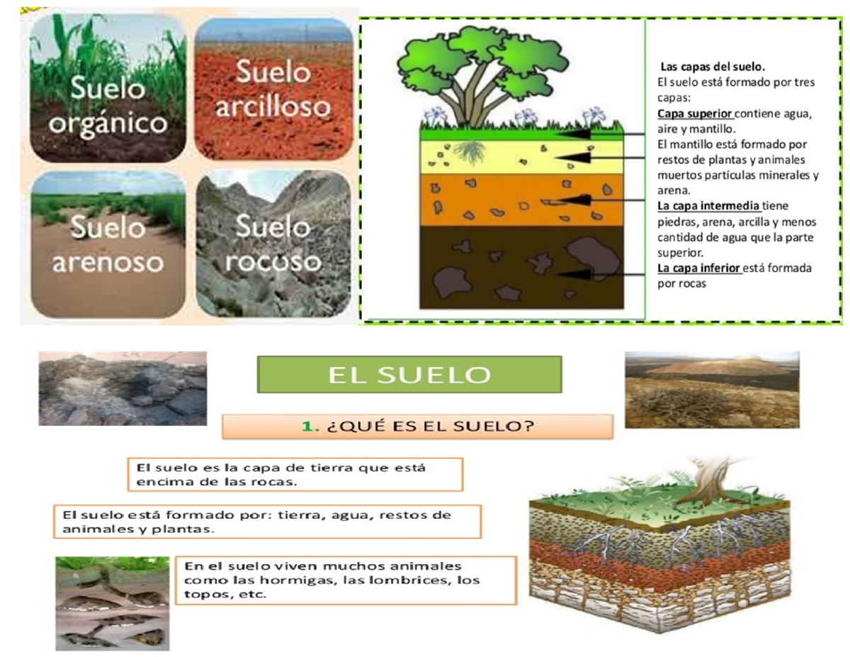 Ficha CYT EL Suelo - Material para niños - Suelo Las capas del suelo ...