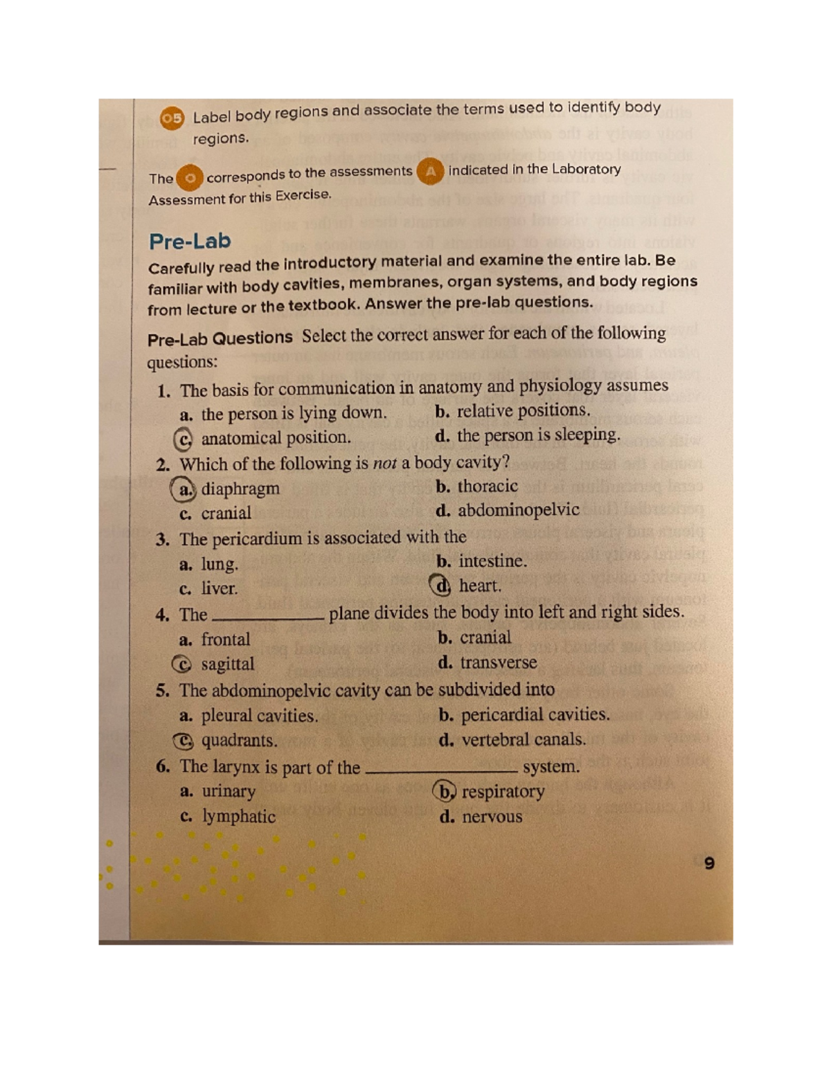 Anatomy Homework - SLS 217 - Studocu