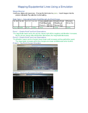 Lab 11: Electric Field Mapping - Electric Field Mapping Maggie Newman ...