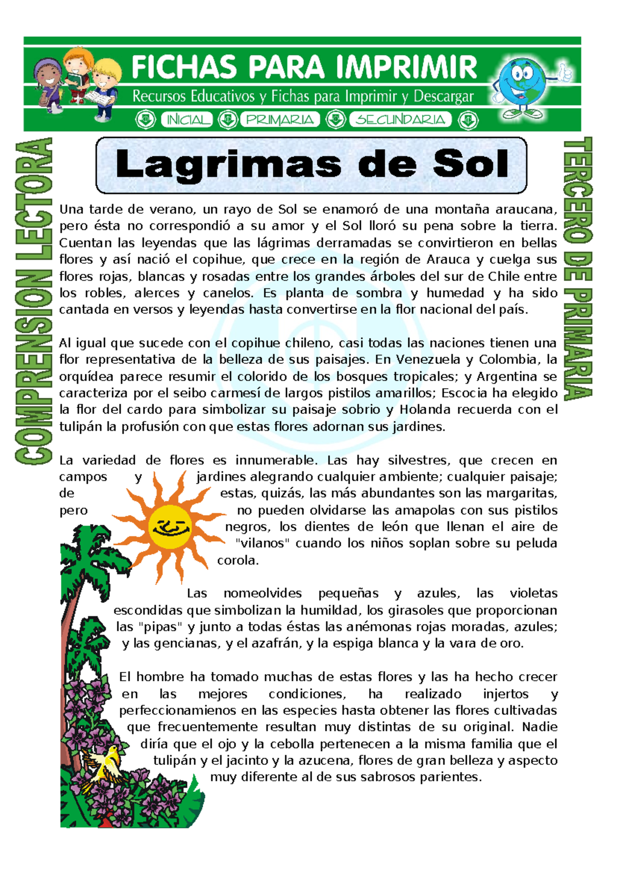 Ficha Lagrimas de Sol para Tercero de Primaria - Una tarde de verano ...