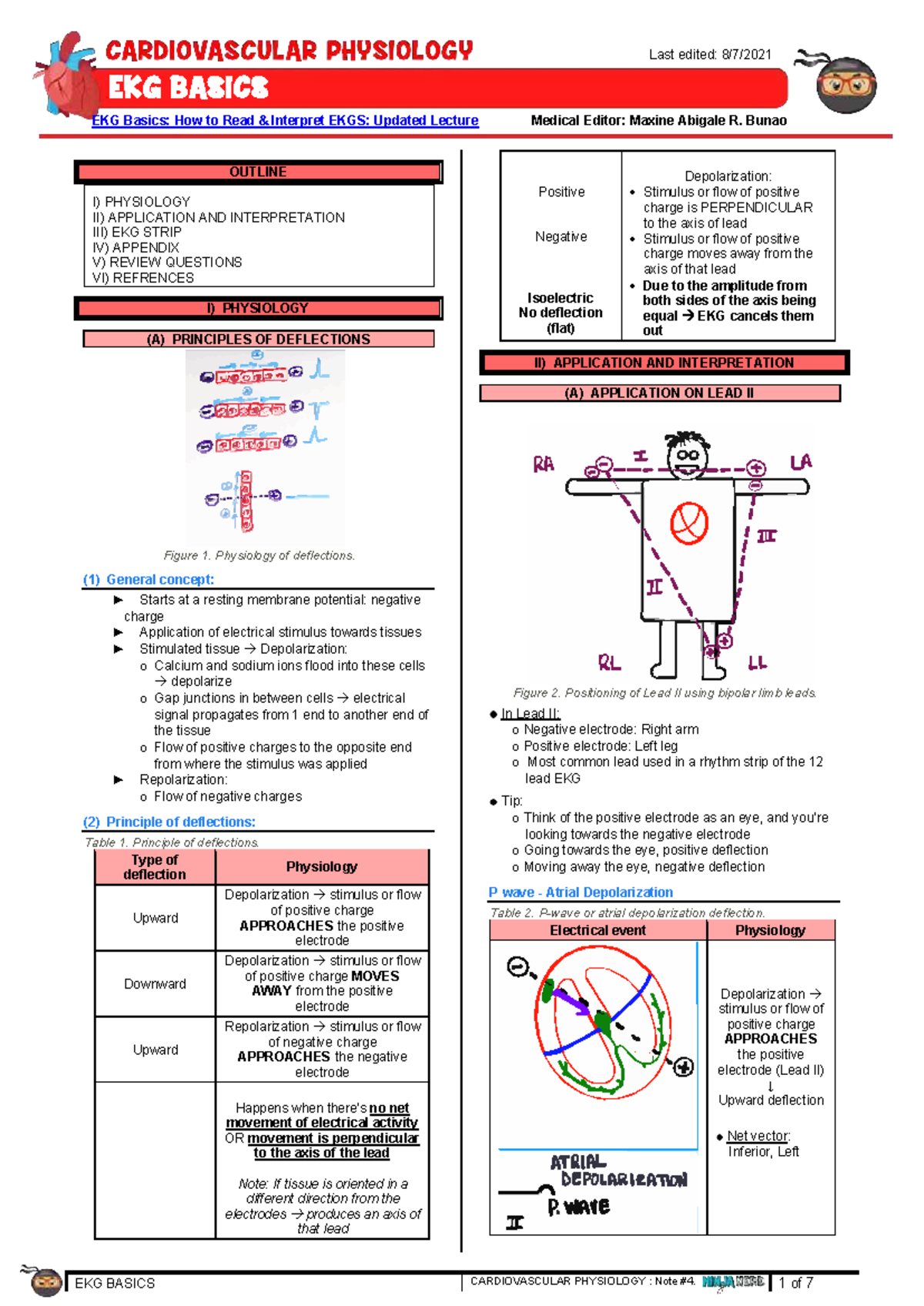 006 Cardiovascular Physiology EKG Basics How to Read & Interpret - EKG ...