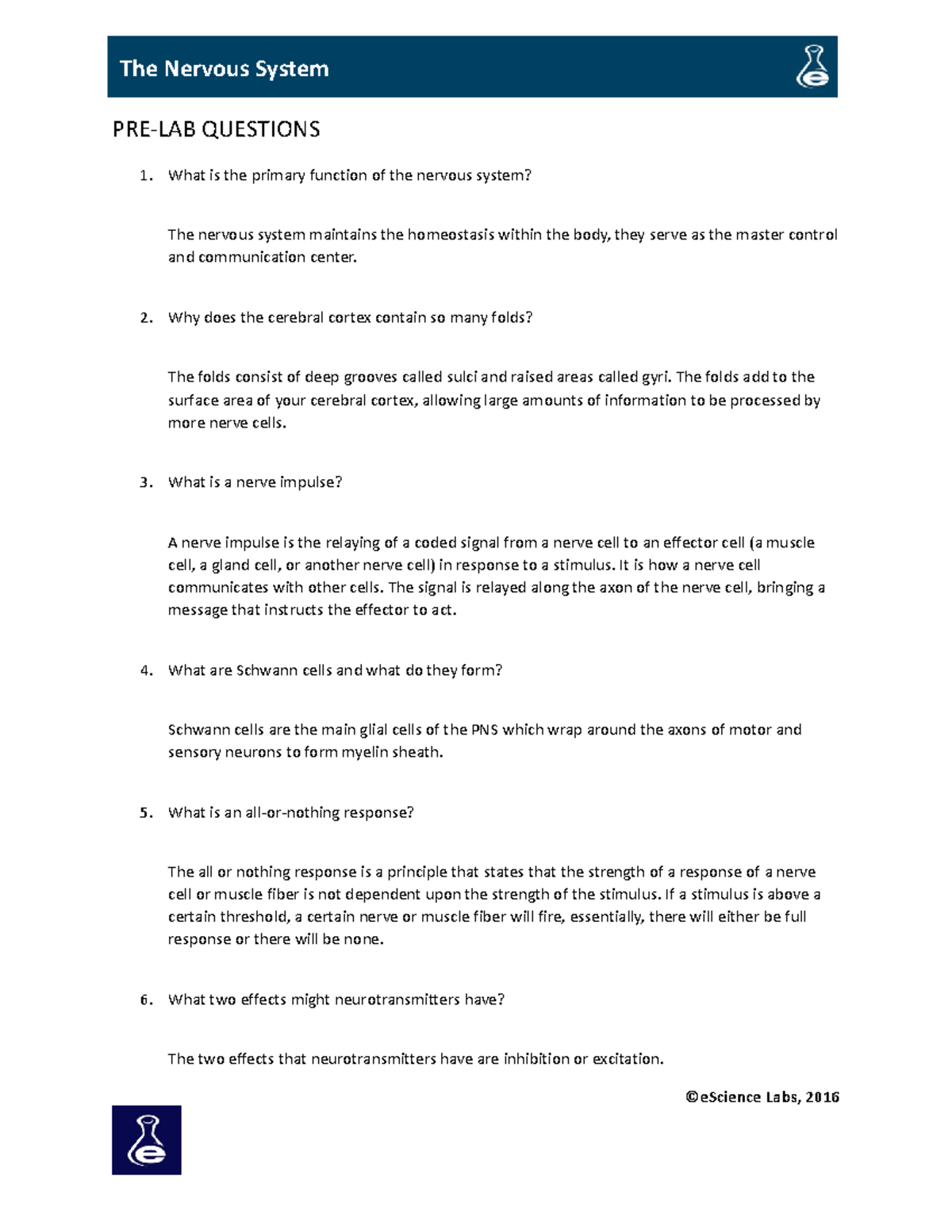 AP 5045 L08 Nervous - Coursework for anatomy and physiology. Science ...