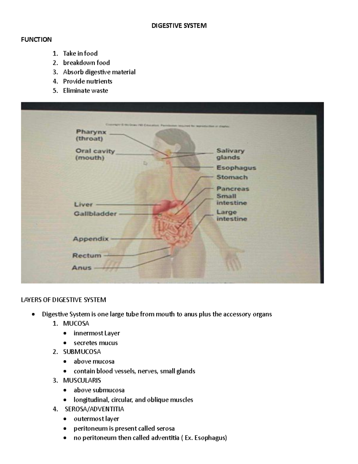 digestive system - DIGESTIVE SYSTEM FUNCTION Take in food breakdown ...