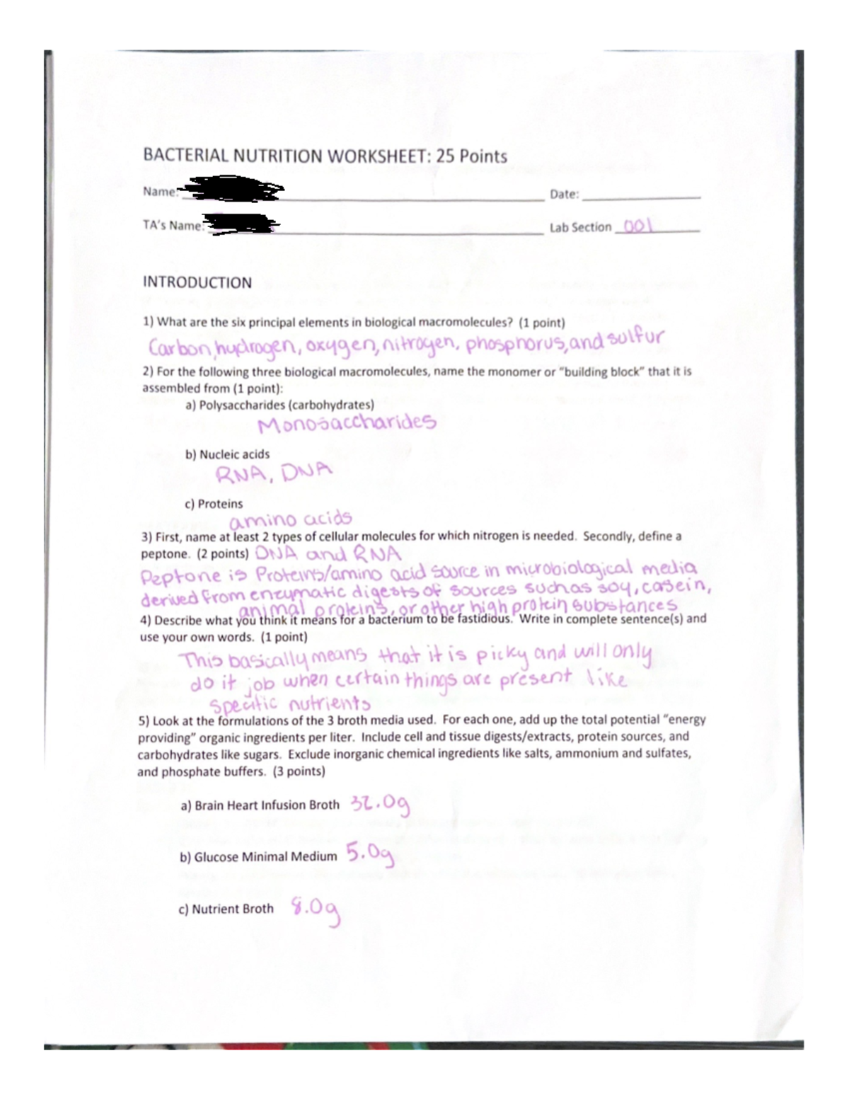 Bacterial Nutrition Worksheet 25 Points - BIO 205L - Studocu