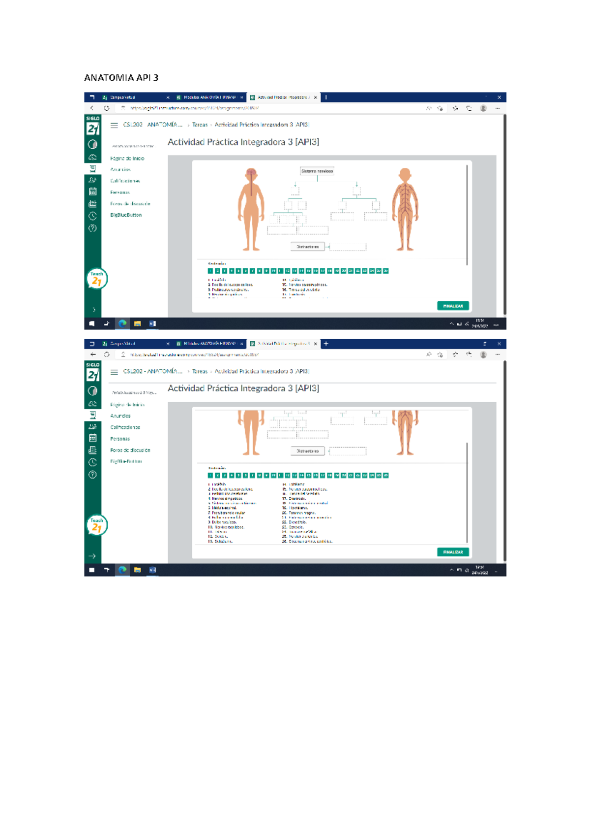 Anatomia API 3 - API 3 - ANATOMIA API 50% Tercera entrega (57% ) 01 ...