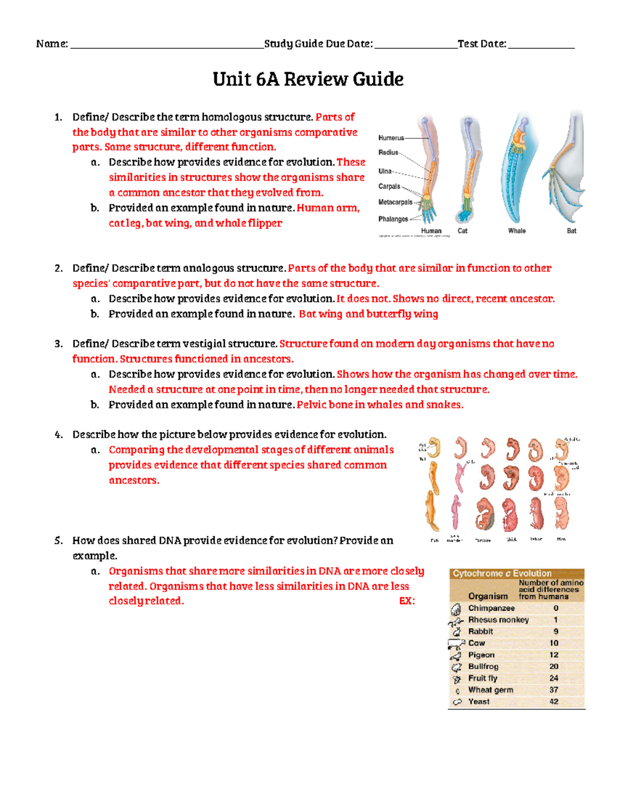Bio Unit 6A Review Guide - Name ...