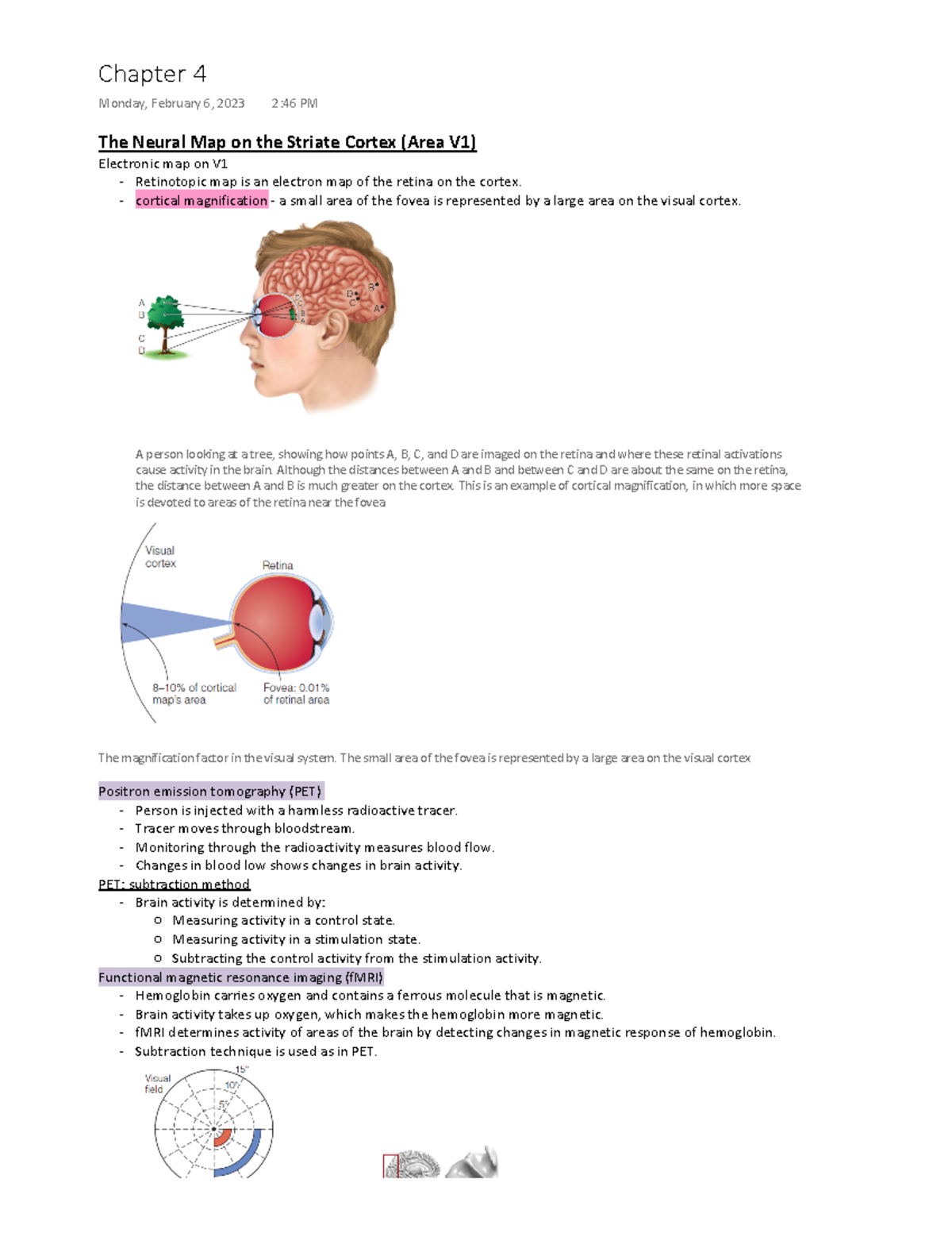 The Neural Map On The Striate Cortex Area V1 The Neural Map On The