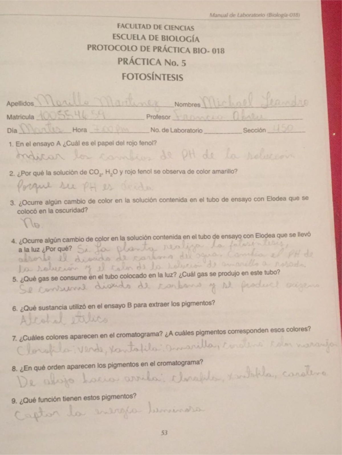 Prácticas 5, 8, 9 y 10 Michael Morillo - Física Básica - Studocu