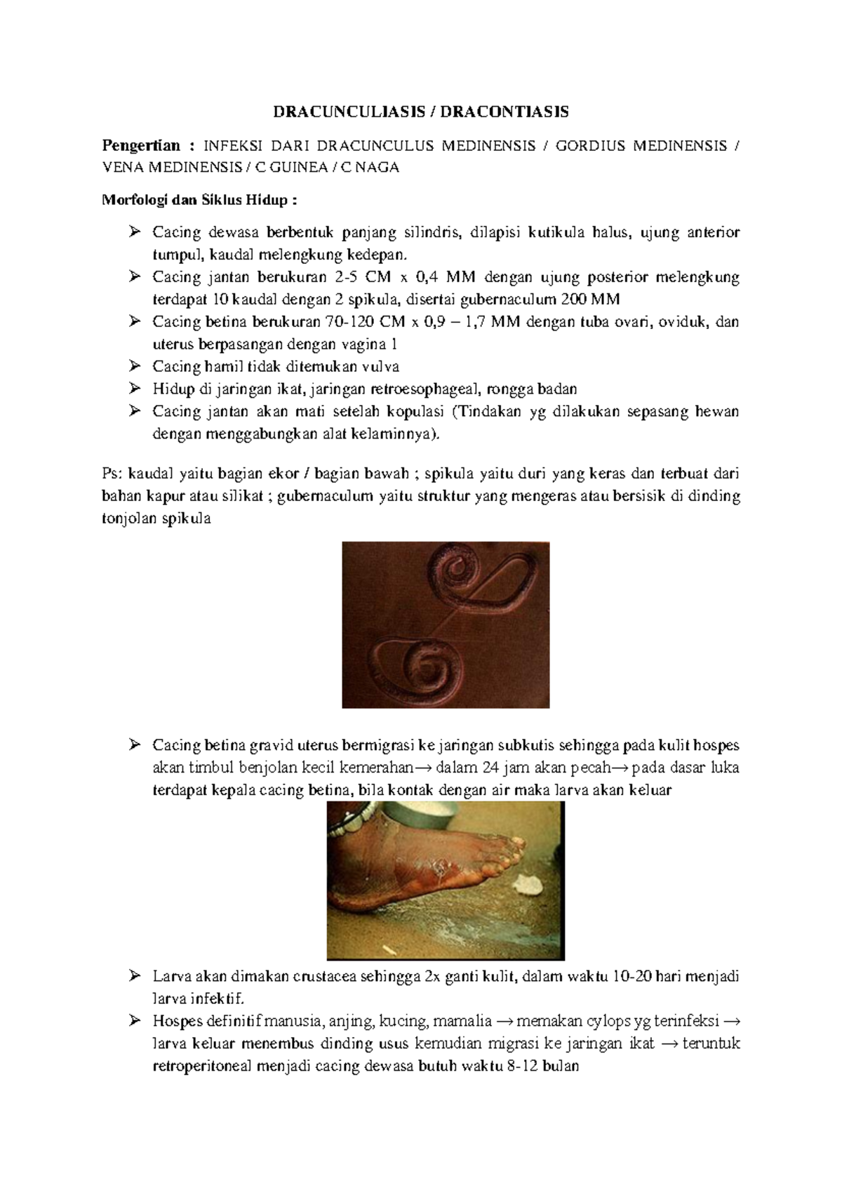 P4 Dracunculiasis - Rangkuman kuliah parasitologii - DRACUNCULIASIS ...