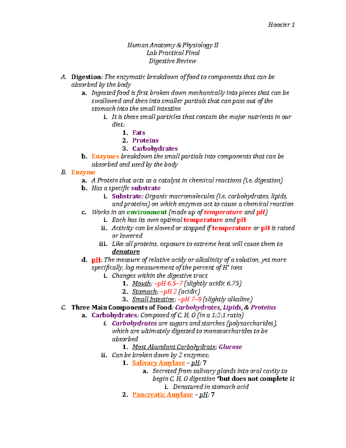 Digestion Lab Review - Human Anatomy & Physiology II Lab Practical ...