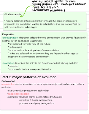 Evolution 16 - selection - examples of gone flow spread of type ...