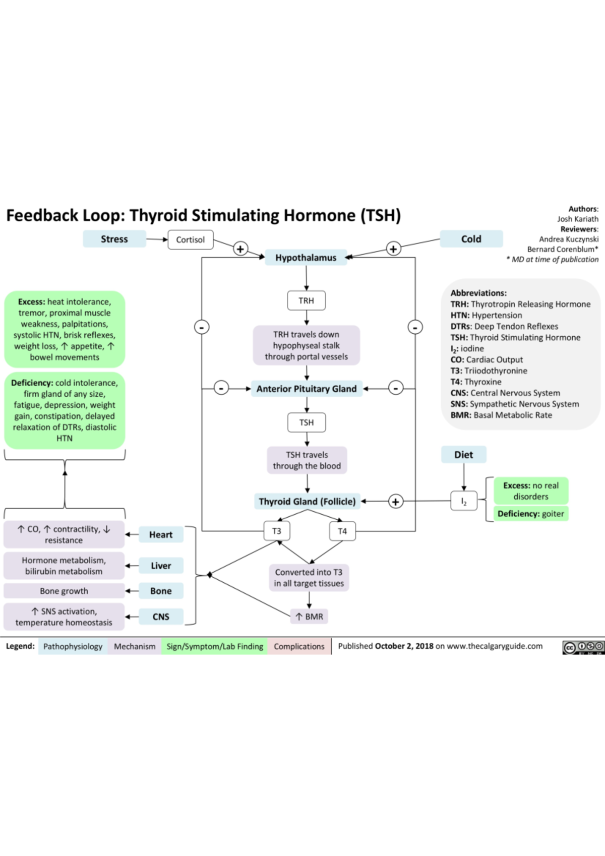 Feedback-Loop-Thyroid-Stimulating-Hormone-TSH- 2021-08-16 at 10.29.59 ...