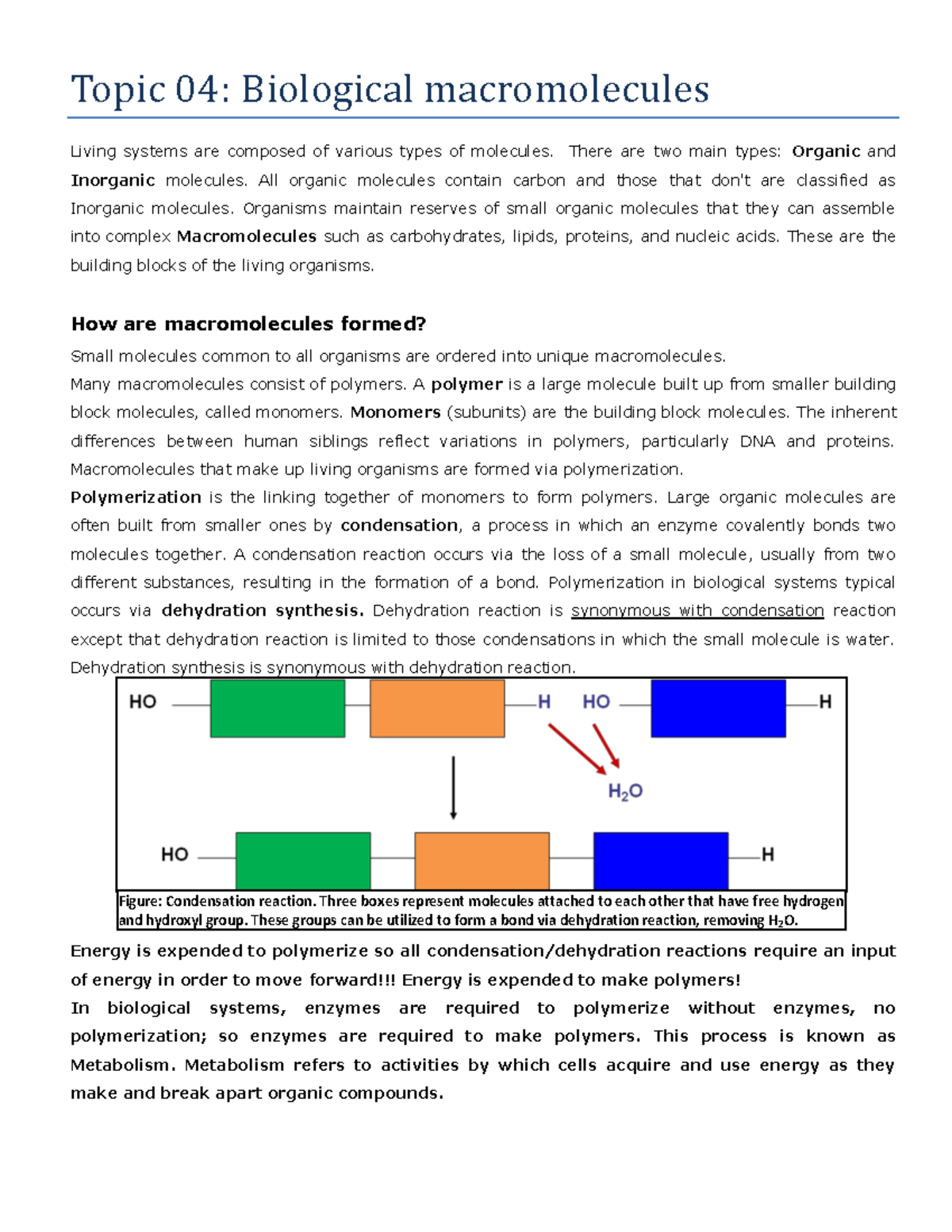 BIO103 FALL 2022 Topic 04 Lecture Notes - Topic 04: Biological ...
