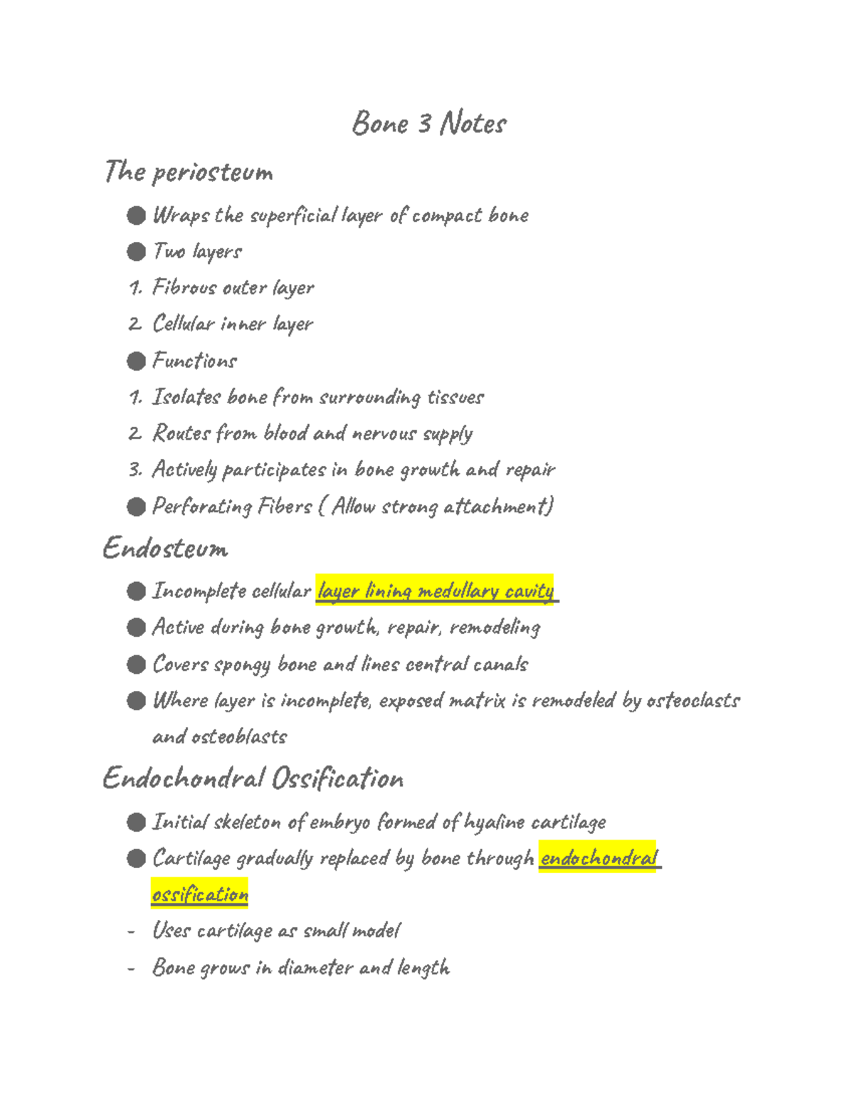 Bones 3 Anatomy Lecture - Bone 3 Notes The periosteum Wraps the ...