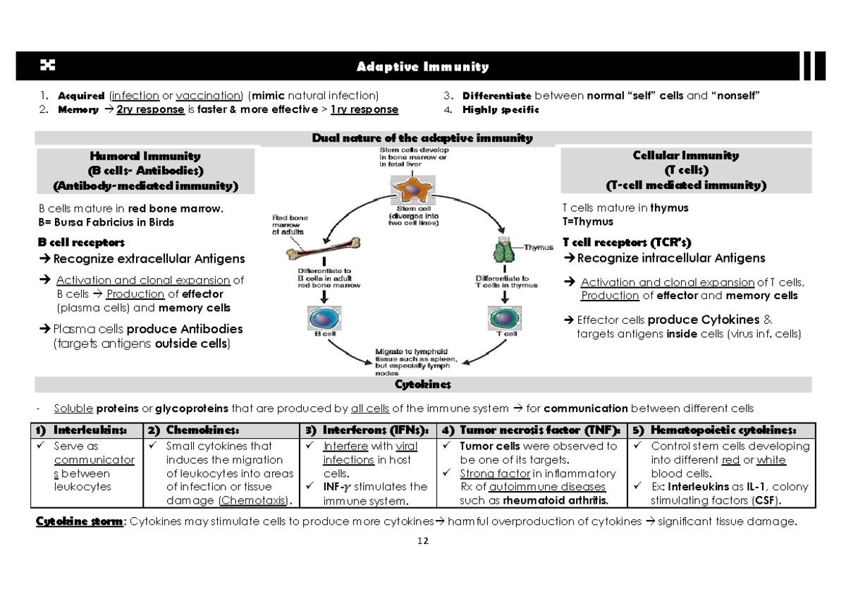 Immunology Lec 4-8. - Adaptive Immunity 1. Acquired (infection or ...