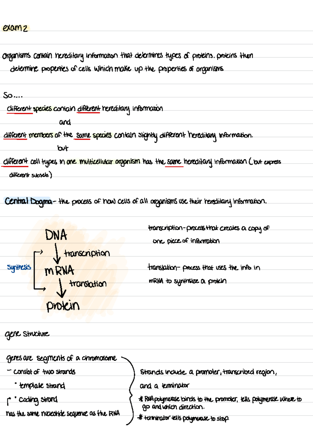 BIO148 exam2 - Review for exam 2 - Warning: Error during font loading: XMLHttpRequest is not ...